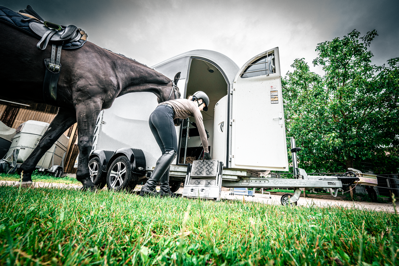 Climbing aids: Safe & horse-friendly 🐴 for stables & tournaments